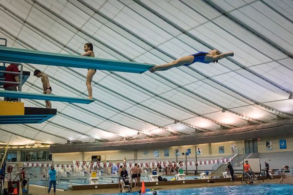 Learn to Dive | Dive Calgary